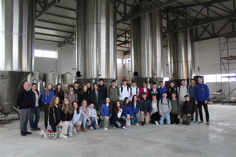 🌟 Exciting Day At Risons 🌟 Risons Winery And Distillery