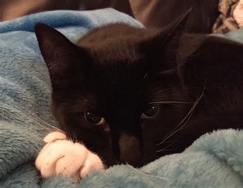 Dark And Beautiful Imgur Dark And Beautiful Imgur