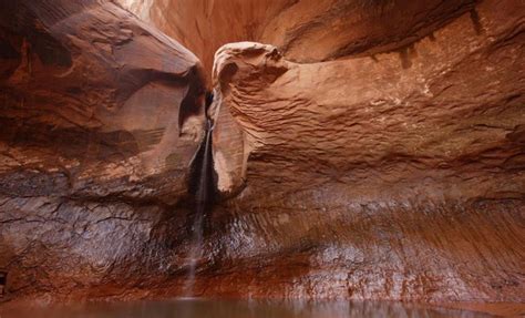 The Persistence Principle