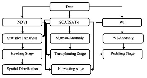 Methodology For Rice Phenology Estimation Download Scientific Diagram