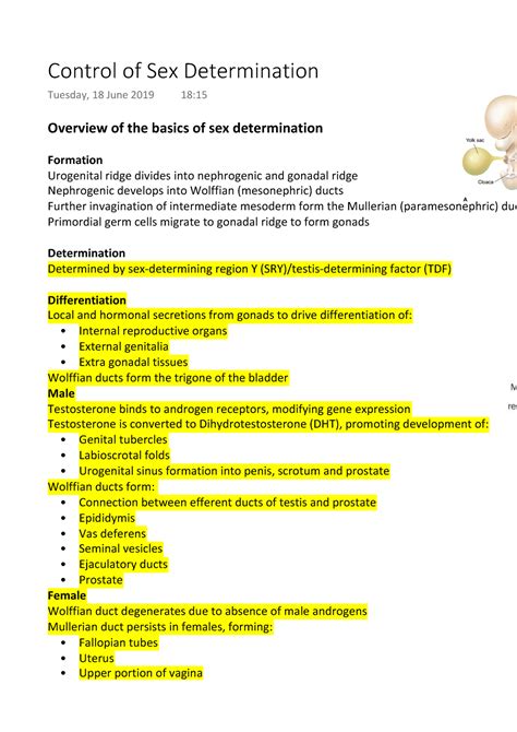Control Of Sex Determination Overview Of The Basics Of Sex Determination Formation Urogenital