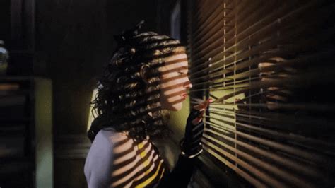 Cat Giveaway Gif By Brawl Stars Find Share On Giphy