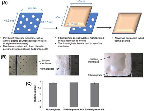 A Scheme Of The Novel Two Component Hybrid Dermal Scaffold B Download Scientific Diagram