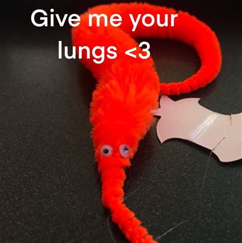 Worm On A String Cose Divertenti Divertente