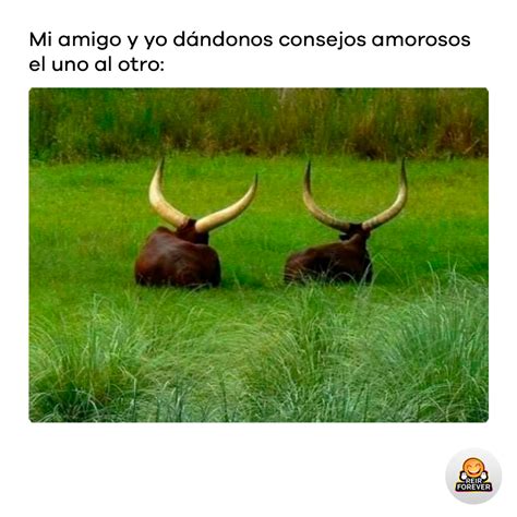 Yo Cuando Me Acabo De Despertar Prohibido Preguntar Muchas Cosas Memes