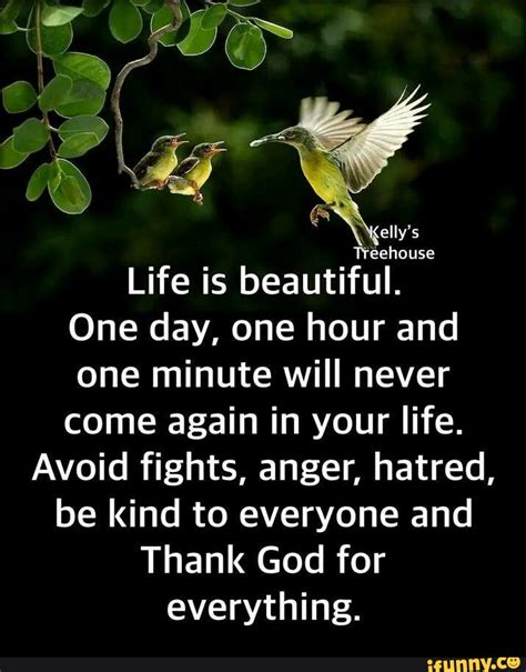 kelly s treehouse life is beautiful one day one hour and one minute