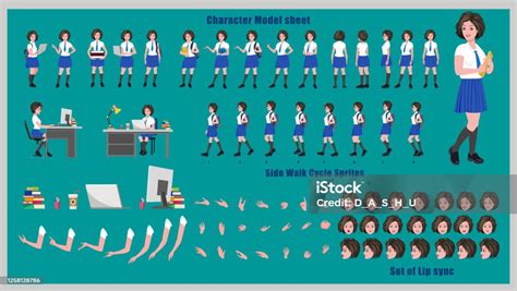 워크 사이클 애니메이션이 있는 고등학생 학생 캐릭터 디자인 모델 시트 소녀 캐릭터 디자인 및 턴어라운드 벡터 등장인물에 대한 스톡 벡터 아트 및 기타 이미지 Istock