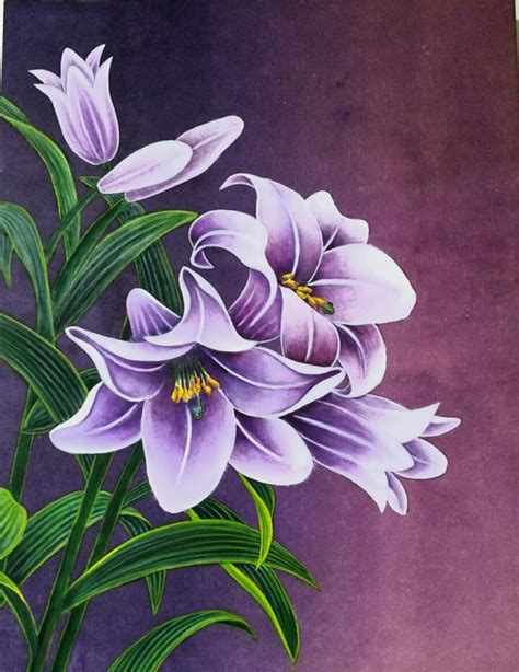 보라색 백합 백합 그림 백합 꽃그림