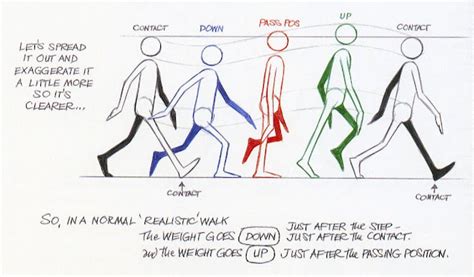 Walk Cycle Animation Tips – AnimSchool Blog