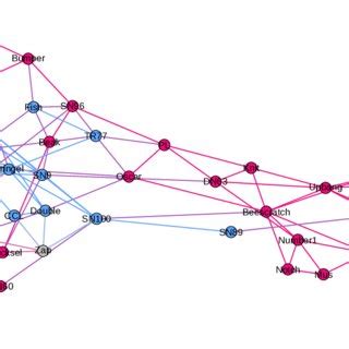 A Node Edge Diagram Of The Dolphin Social Network Node Labels Are The Download Scientific