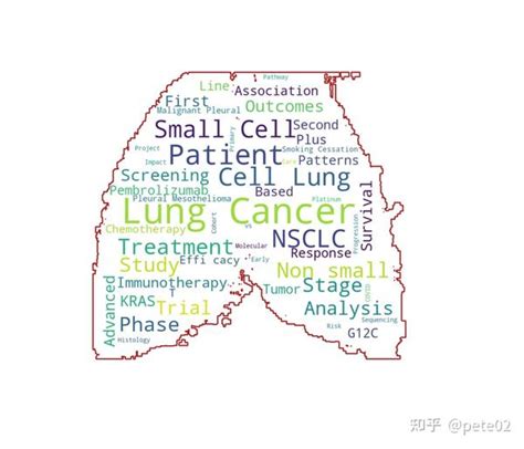 使用python生成词云（英文词云） 知乎