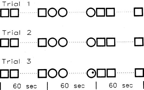 Figure 1 From The Steady State Visually Evoked Potential And Topography