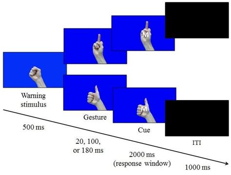 Procedure Of A Congruent Trial Top And Incongruent Bottom Trial