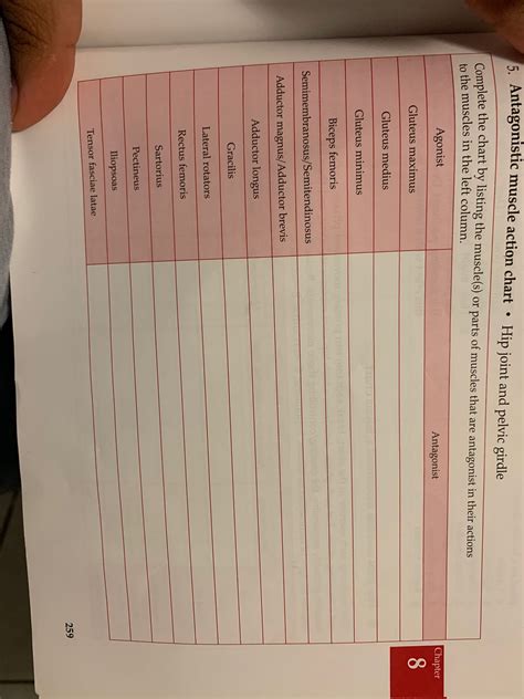 Muscle Agonist And Antagonist Chart