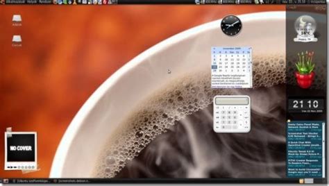 how to install google gadgets in ubuntu 10.10 | SUDOBITS – Free and ...