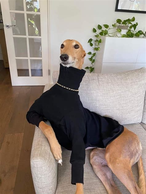 Mccoy On Twitter Ај мори па ти стави по едно турско Морало несови долче молче Кафе си е