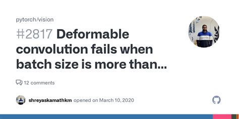 Deformable Convolution Fails When Batch Size Is More Than Issue Pytorch Vision