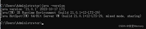 jdk21 hadoop3 2 2 windows安装步骤 hadoop jdk21 csdn博客