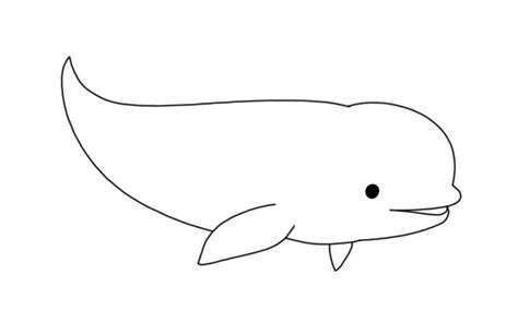 귀여운 얼굴의 흰 고래 벨루가 캐릭터 그리기 네이버 블로그