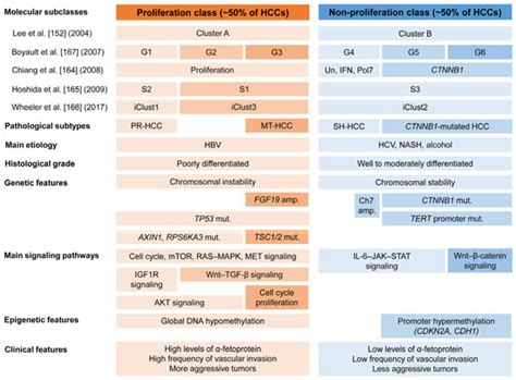 Advances In Histological And Molecular Classification Of Hepatocellular