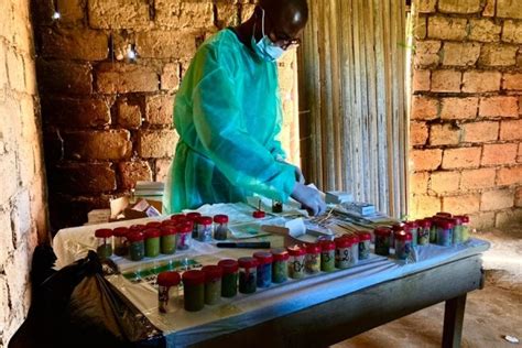 Angola The Mentor Initiative