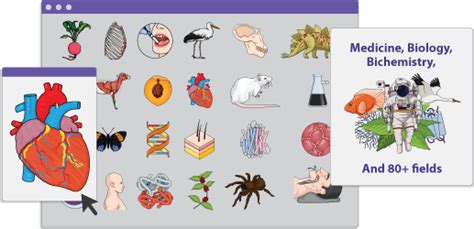 Causal Comparative Research Understanding Real World Variables Mind The Graph Blog