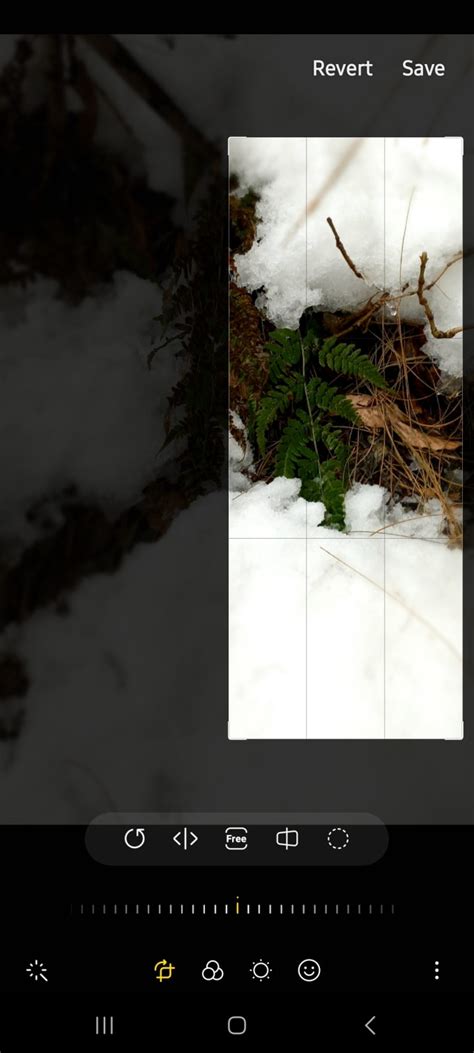 Croprotate And Resize Images Perfectly By Gloriousimaging Fiverr