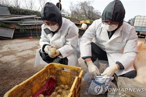 Ai 전남도 비상 연합뉴스
