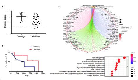 Application Of The Radiomics Clinical Combined Model In Tcia Cohort