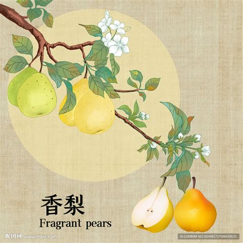 手绘香梨设计图广告设计广告设计设计图库昵图网
