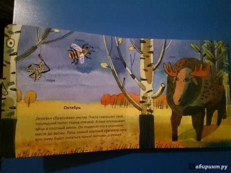 Книга: Лес. Времена года - Анна Веркина. Купить книгу, читать рецензии ...