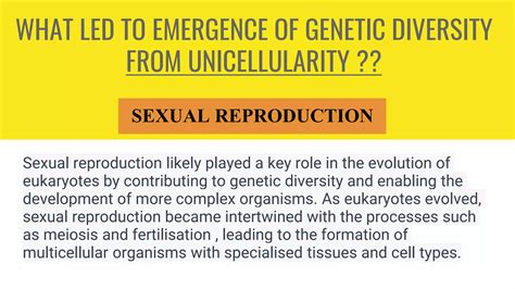 Evolution Of Eukaryotes Pptx