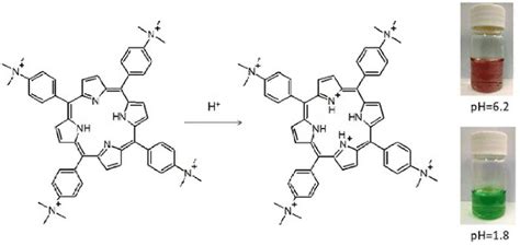 Structure Of TMAP And TMAP Download Scientific Diagram