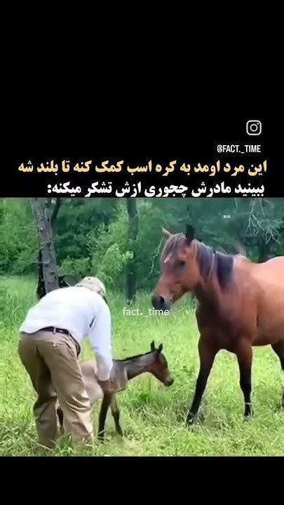 نظرتون رو راجب این صحنه کامنت کنید 🫠🫠🫠🫠🫠🫠🫠🫠🫠🫠 Youtube