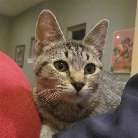 Maureen Goode Youtube