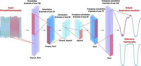 Rapid Extraction Of Respiratory Waveforms From Photoplethysmography A Deep Encoder Approach