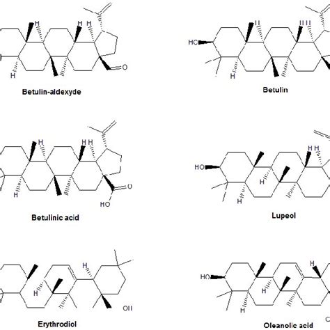 Pdf Common Birch Betula Pendula Roth Chemical Composition And Biological Activity Of Isolates