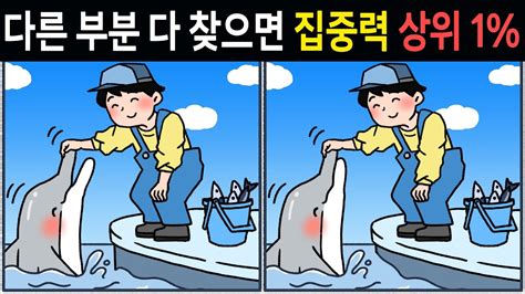 【틀린그림찾기】젊은 두뇌를 위한 치매예방 퀴즈 차이점찾기 관찰력 집중력 훈련【다른그림찾기두뇌개발】📌141화 Youtube