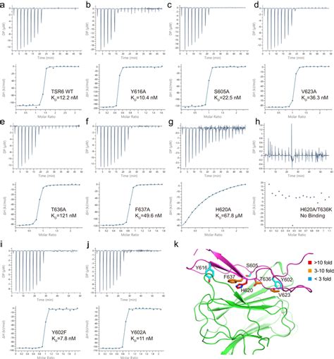 binding profiles of tsr6 mutants with m2ap by itc a j binding curves