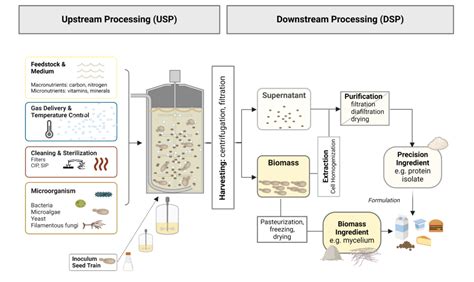 Fermentatieproces Diagram