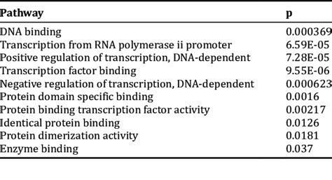 Functional Enrichment Analysis Based On Pathways Download Scientific Diagram