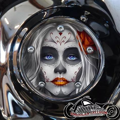 Harley Davidson Timing Cover Big Twin Cam Milwaukee 8 Sportster Day