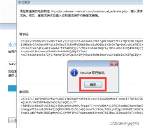 navicat 15 for mysql安装激活和破解 csdn博客