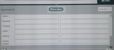 Data Table 2 Organs And Their Functions Experiment