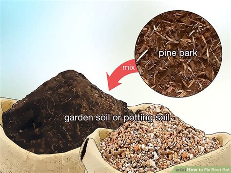 Easy Ways To Fix Root Rot WikiHow