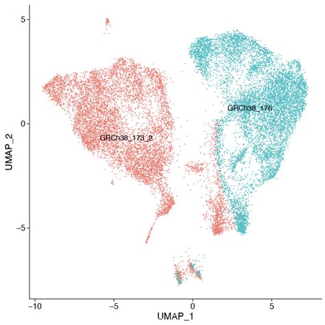 Integrating Multiple 10x Multiome Samples · Issue 5884 · Satijalabseurat · Github