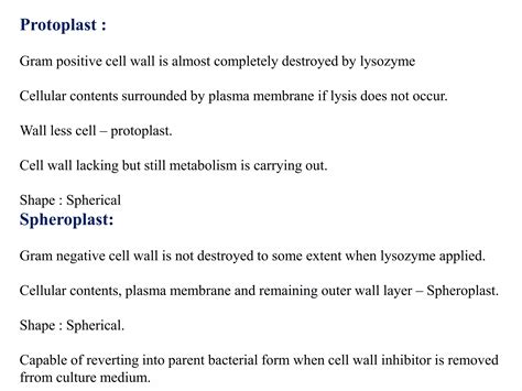 Morphology Of Bacteria PPTX