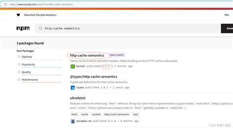 sse工具【meteor npm install 错误记录及解决】found xx vulnerabilities xx moderate