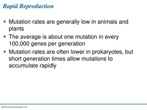 21 The Evolution Of Populations Ppt Download