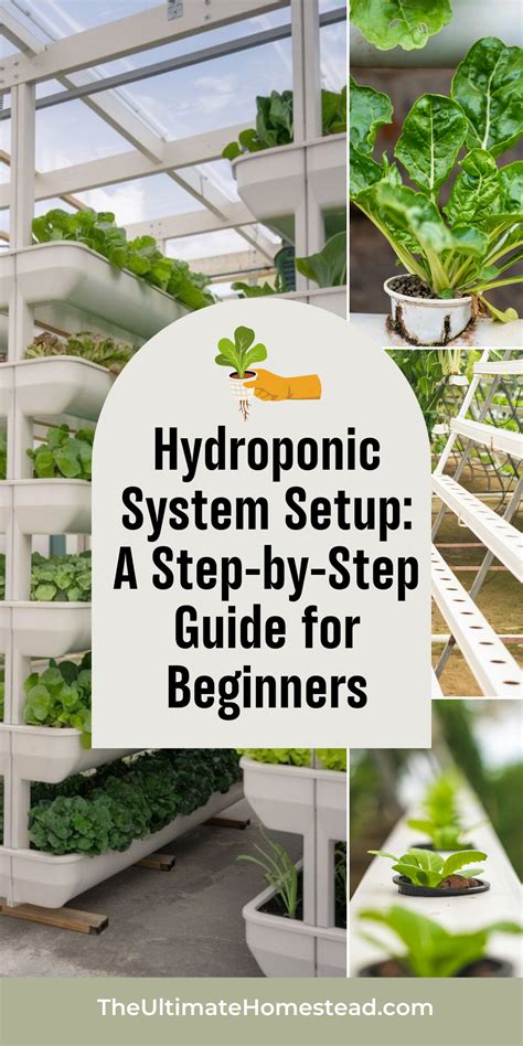 How To Grow Your First Hydroponic Garden Beginner Tips Guide Artofit